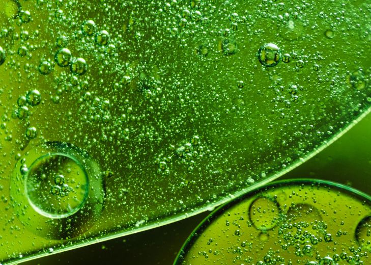 Biodegradable Lubricant Esters: Performance and Chemical Sustainability ...